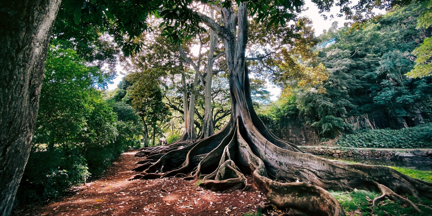Canadian Genealogist & Family Researcher - Michael Owen, Vancouver Island